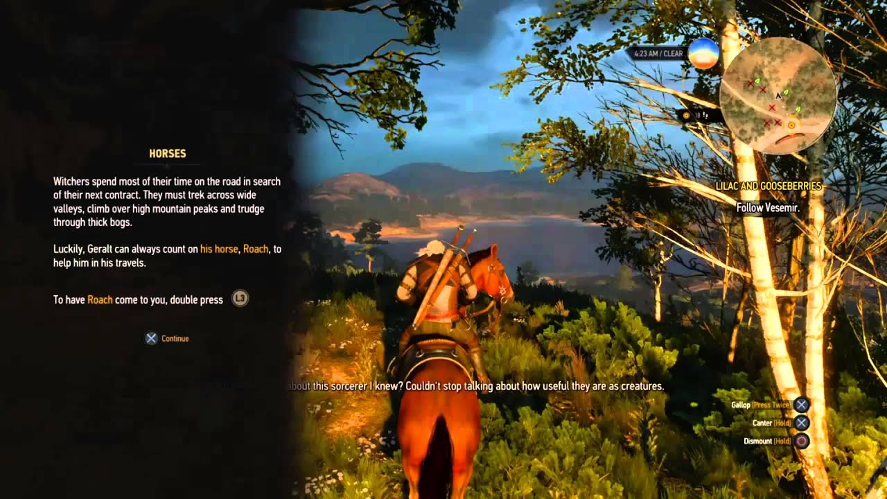 The Witcher 3: Roach Clip - YouTube