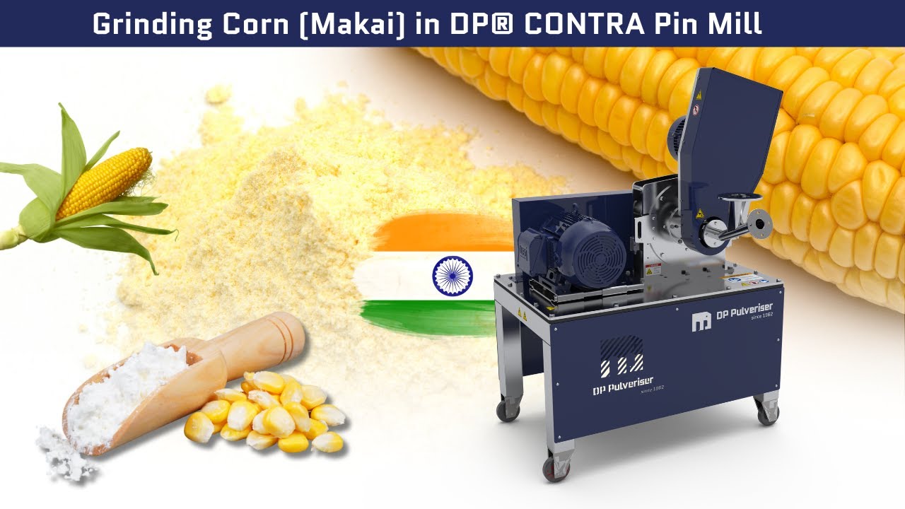 Grinding Corn (Makai) in DP® CONTRA Pin Mill I Corn Flour I Made In ...