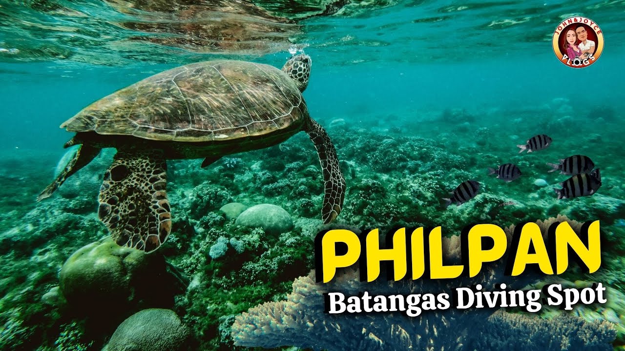 PHILPAN, Mabini Batangas Diving Resort - YouTube