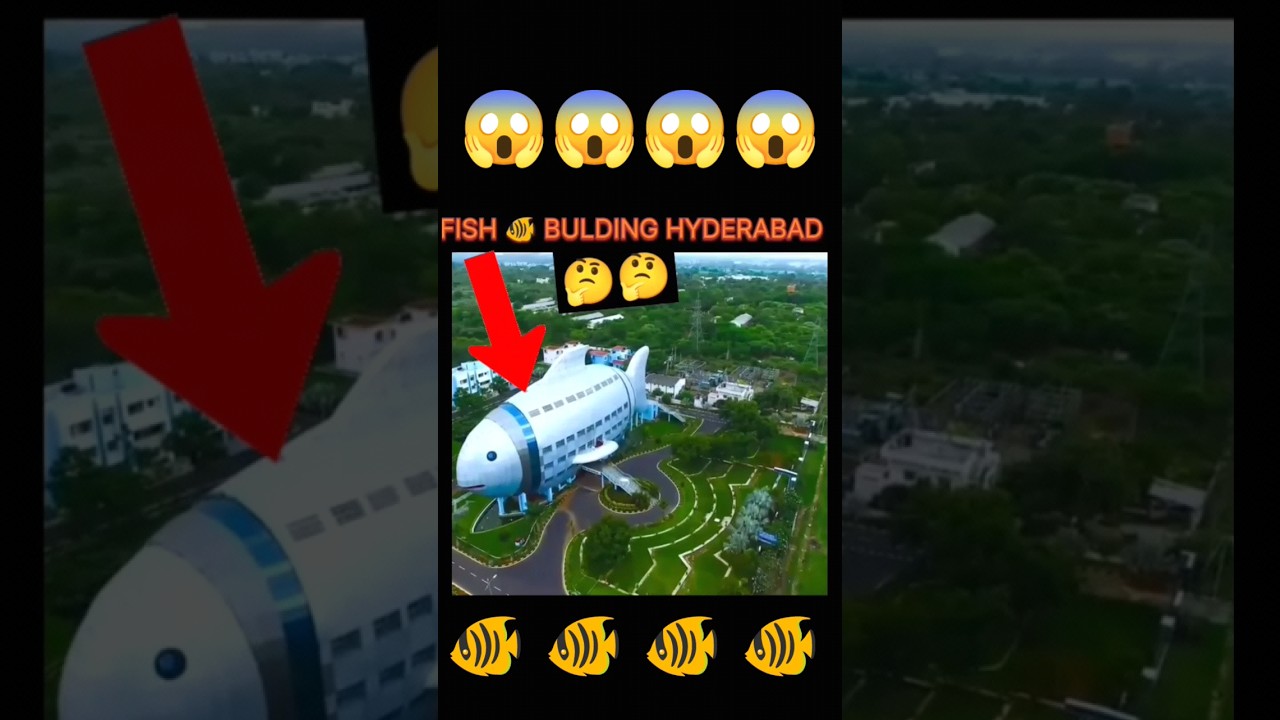 fish building Hyderabad 😱#fishbuildinghyderabad #shorts - YouTube