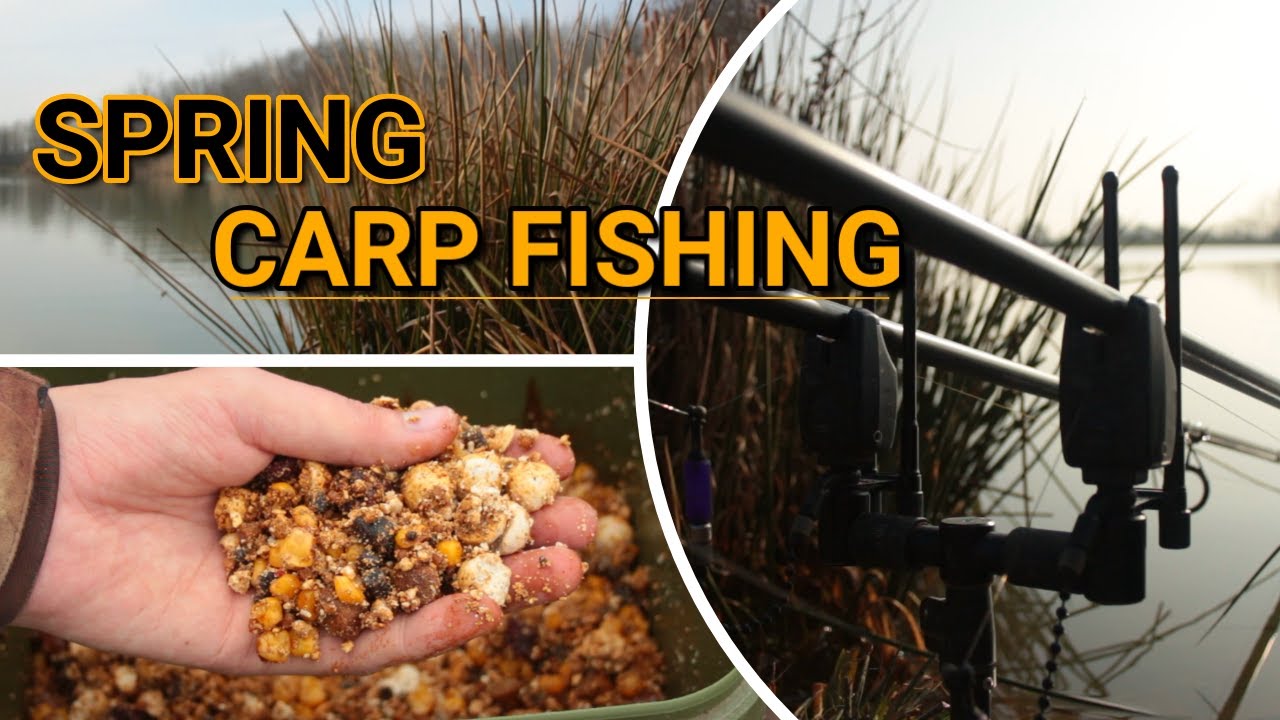 **SPRING CARP FISHING** Farm Reservoir Session 12 ꟾ Day Only Fishing ...