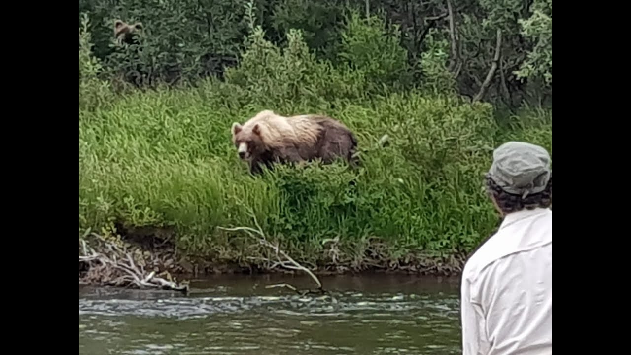 Koktuli River Alaska - YouTube