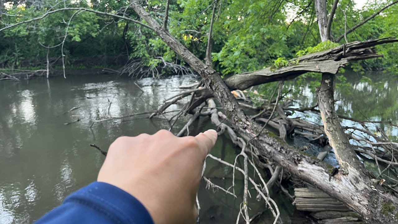 Fishing a HUGE Logjam on the Sugar River! - YouTube