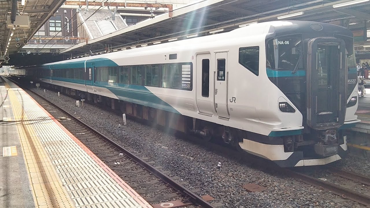 《E257系2000番台NA-06編成 熱海→東大宮操車場 定期臨時回送》JR東日本E257系2000番台NA-06編成が回送列車として大宮駅8番線に入線到着停車！(回9022M)2023 ...