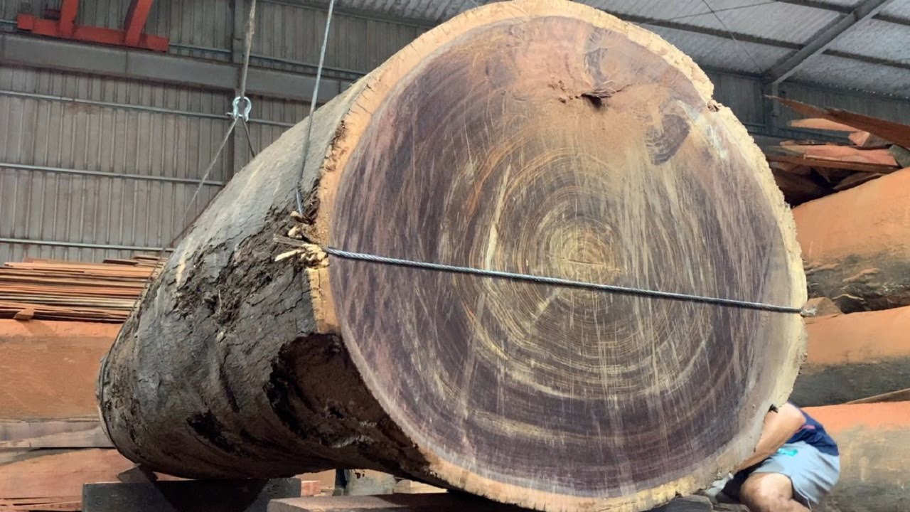 The Process of Transporting Solid Wood Into Excellent Planks By a Giant ...