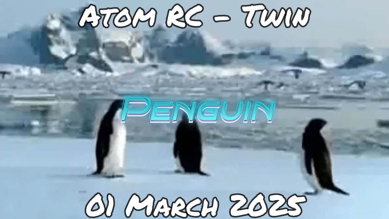 FT Flying Session 5/2025 - ATOM RC Penguin - 01 March 2025 - YouTube