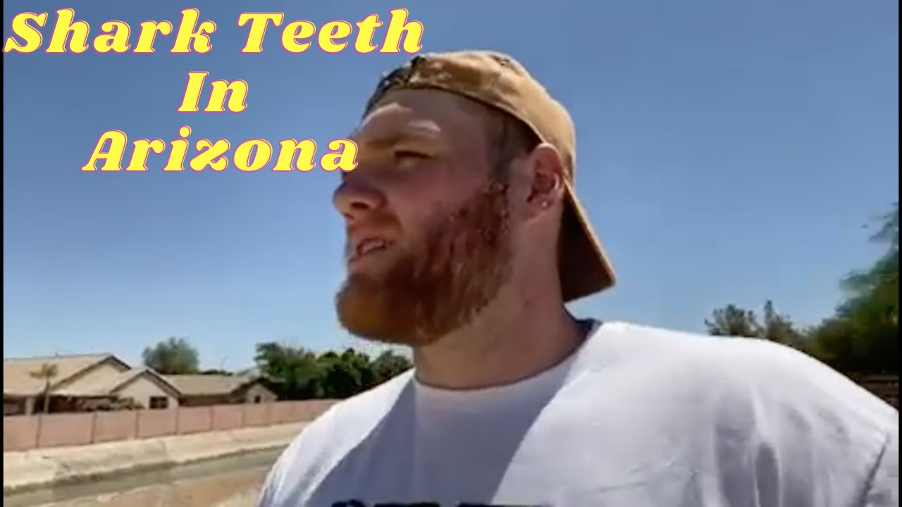Shark Teeth in Arizona #shorts - YouTube