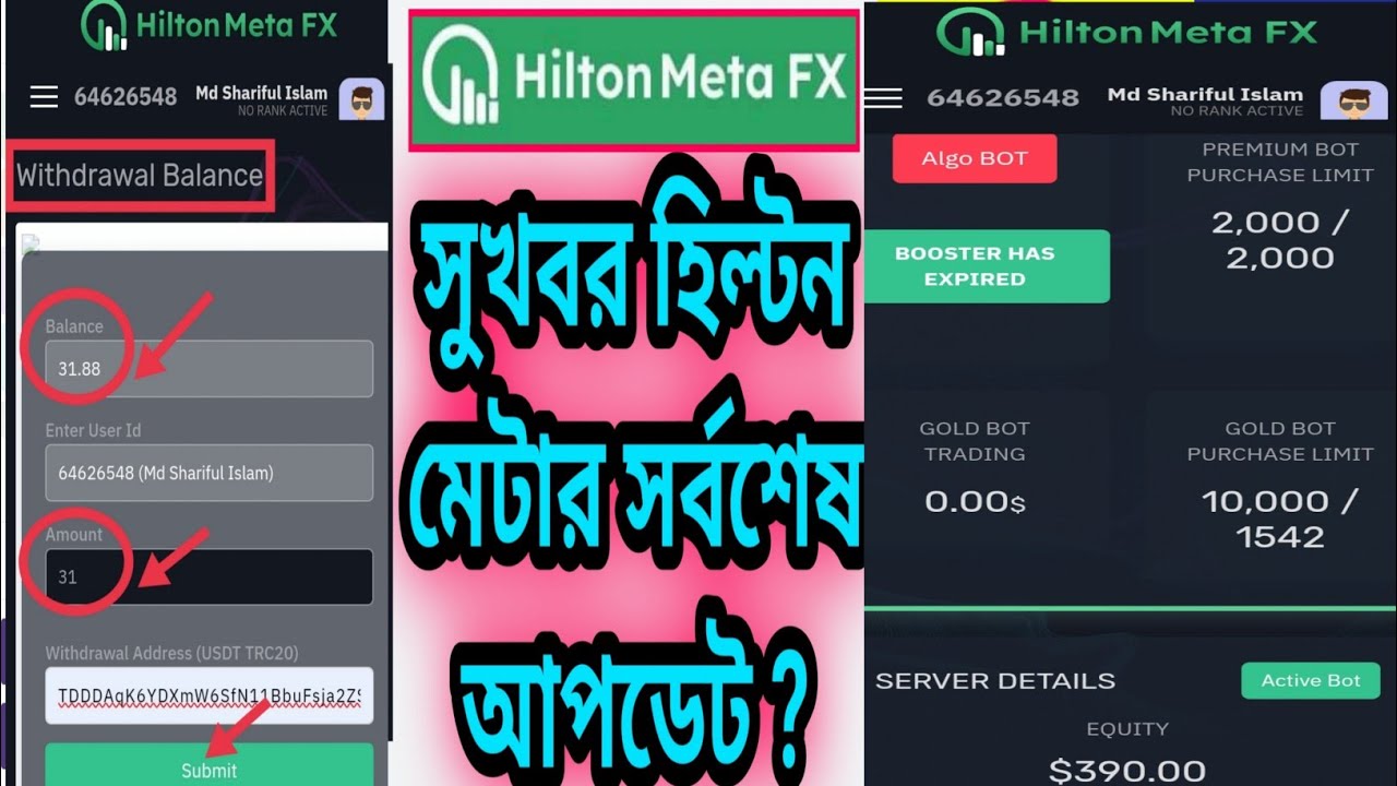 Hilton meta fx scam official update news today 2023 || হিল্টন মেটার ...