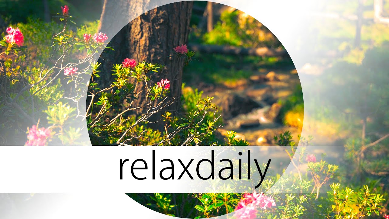 Inspiring Instrumental Music - uplifting, motivating - N°035 (4K) - YouTube