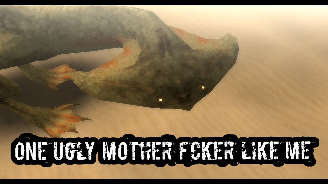 [monster hunter portable 2nd G] HUNT THE CEPHADROME | HUNTING QUEST ...