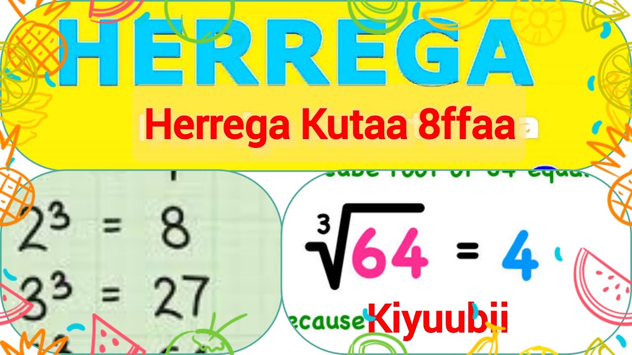 Herrega Kutaa 8ffaa: Kiyuubii Lakkoofsa Raashinaalii - YouTube