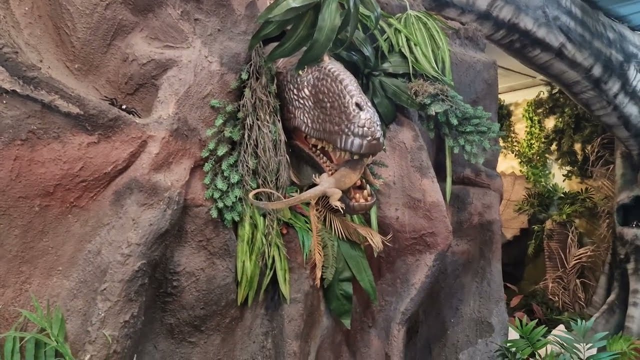 Stone Science Museum - YouTube