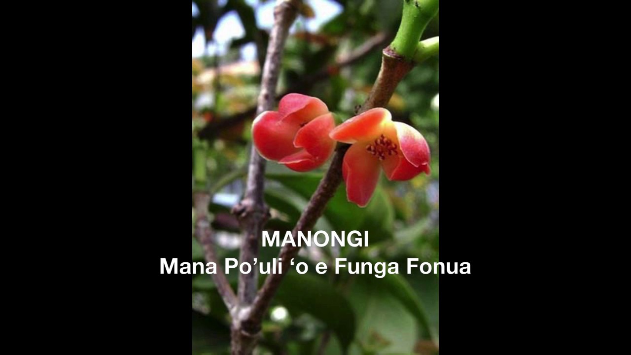 MANONGI - YouTube
