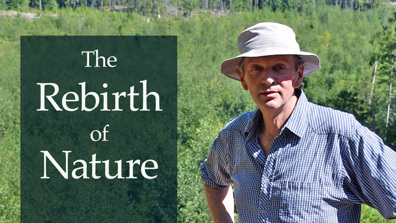 The Rebirth of Nature - YouTube