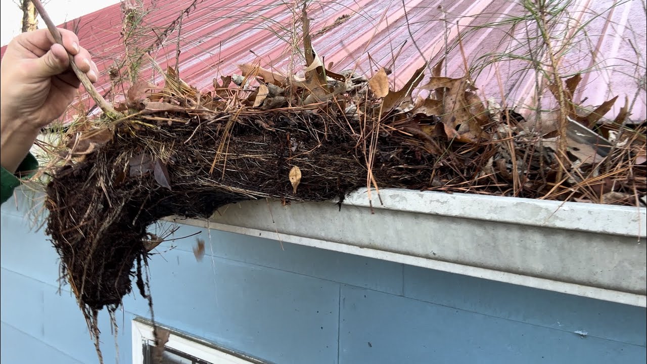 Cleaning Gutters and pressure washing - YouTube