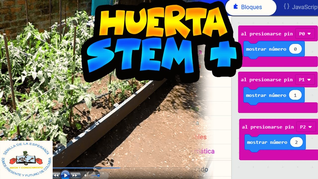 Huerta Stem Semilla - YouTube