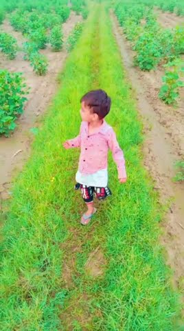 kamij se nich samij(2) - YouTube