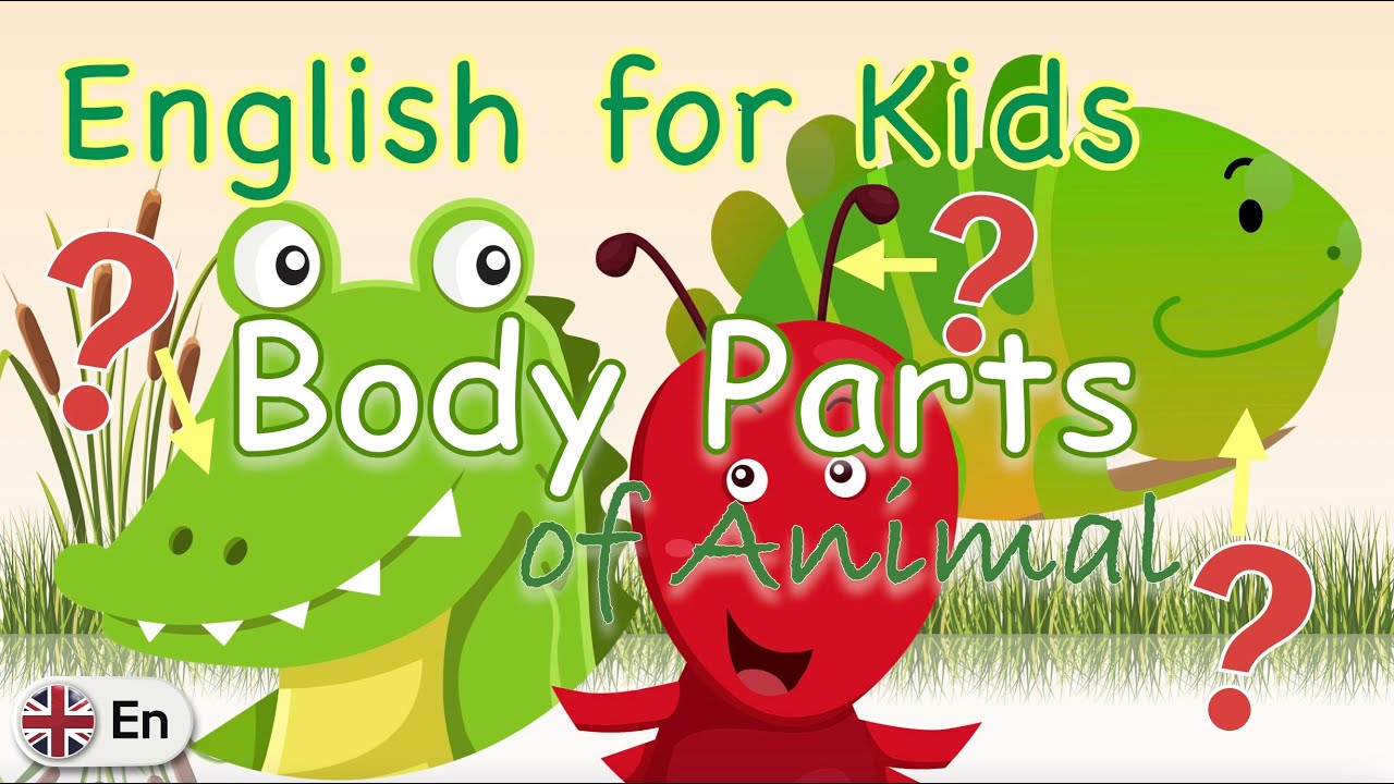 Body parts of Animal ( Part 3) | English for Kids (UK) | Kids English ...