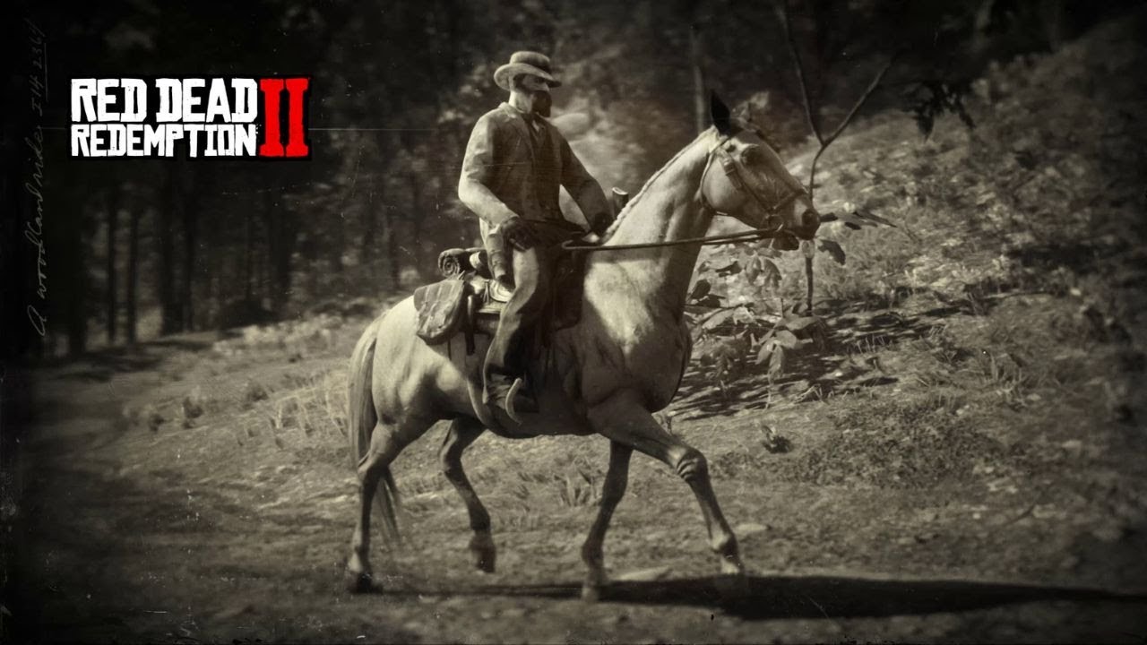 RED DEAD REDEMPTION 2 | Gameplay Intro Trailer | PC 2K - YouTube