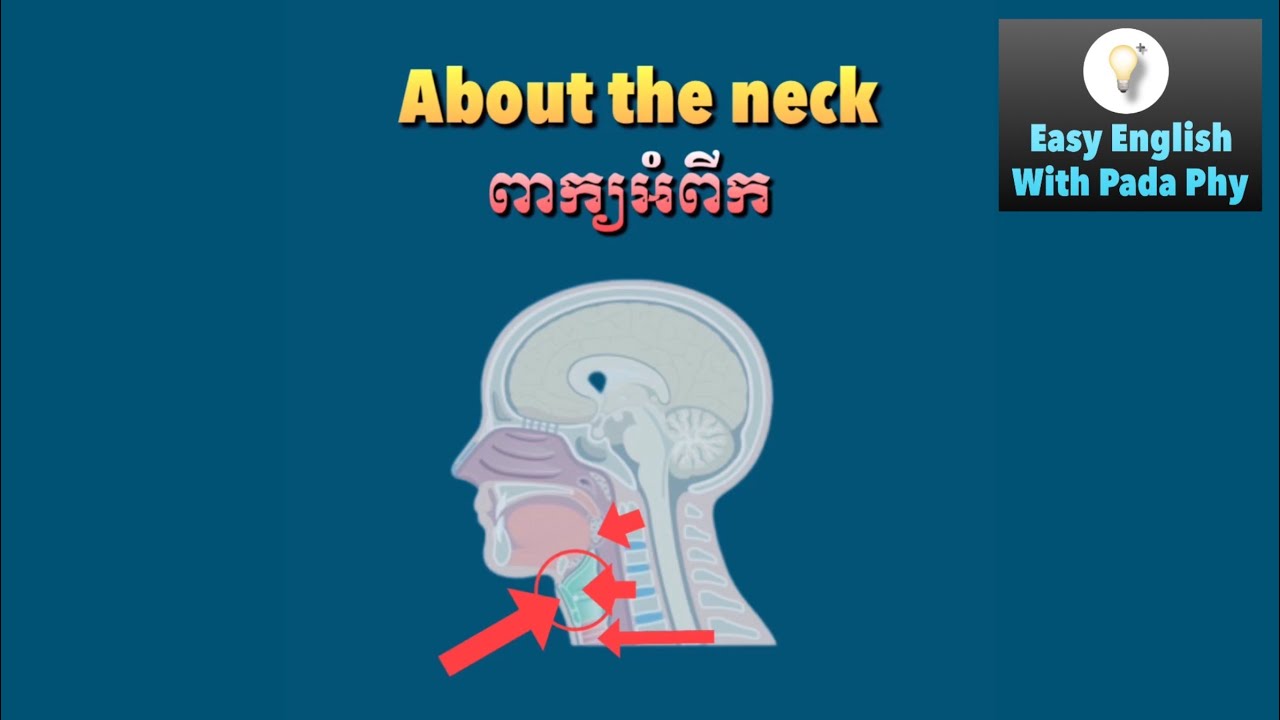 ពាក្យអំពីកជាភាសាអង់គ្លេស | Words about the neck in English | Easy ...