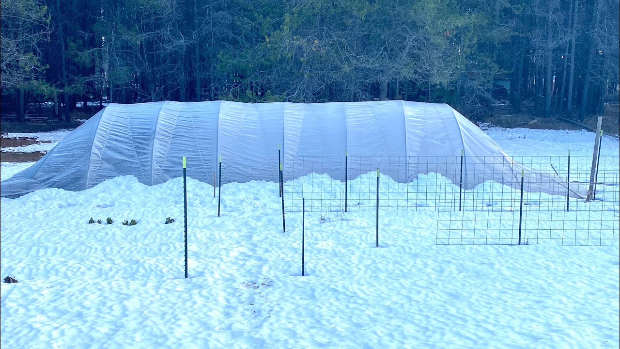 The Caterpillar Tunnel That Was Made Before Improvements - YouTube