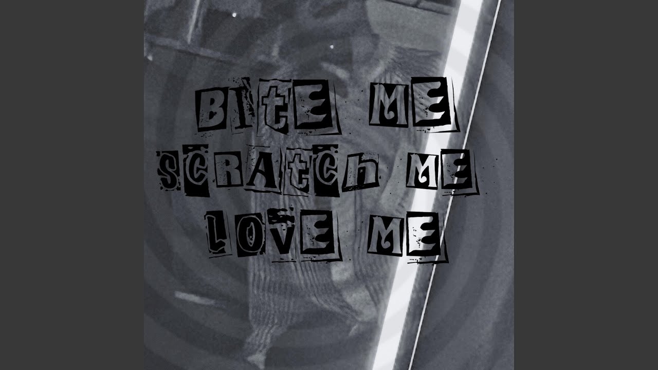 Bite me? Scratch me? Love me. - YouTube