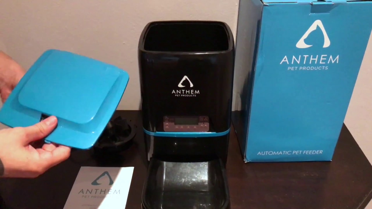 How To Set Up Your Automatic Cat Feeder By Anthem Pet Products - YouTube