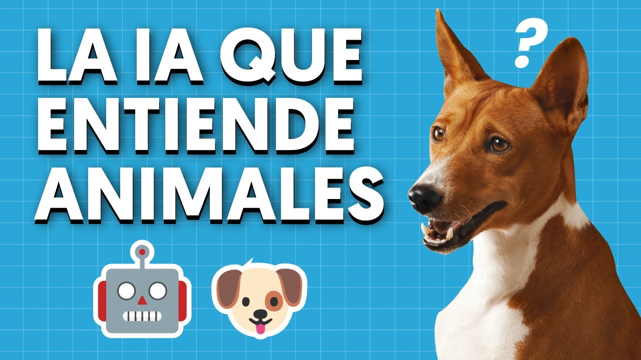 ¿La inteligencia artificial que te hará hablar con animales? 🐶💬 - YouTube