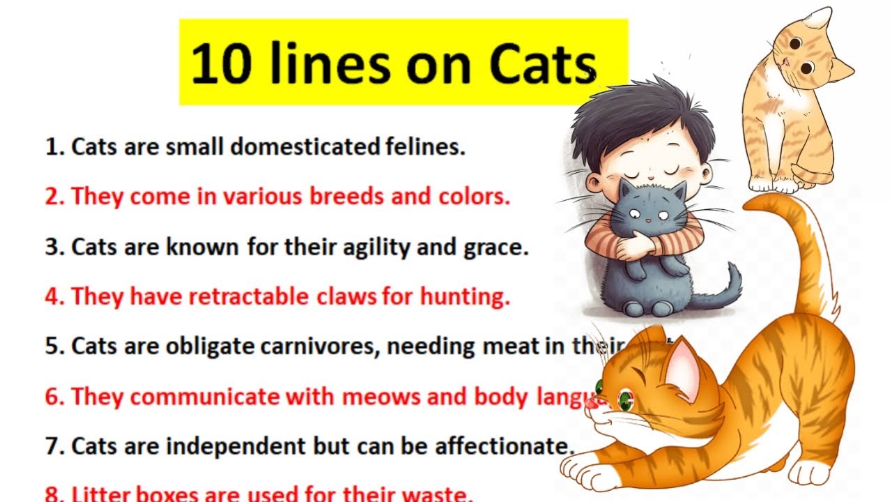 10 lines on Cats || Essay On Cat In English || Cat Essay In English ...