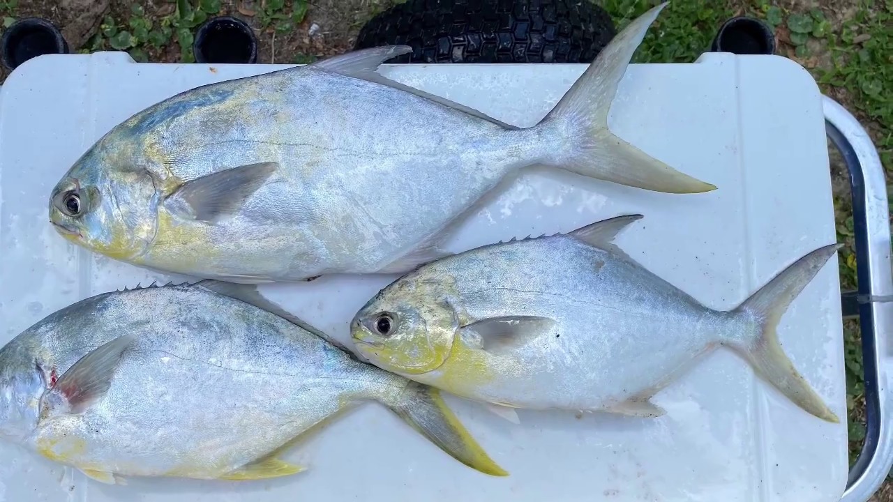 Summer Pompano Fishing, St. Augustine Beach, FL - YouTube