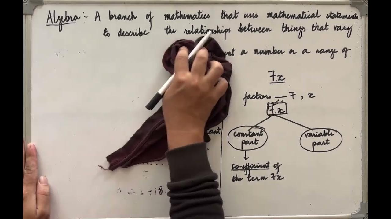 Introduction to algebra ( variables,constants,terms,expressions ...