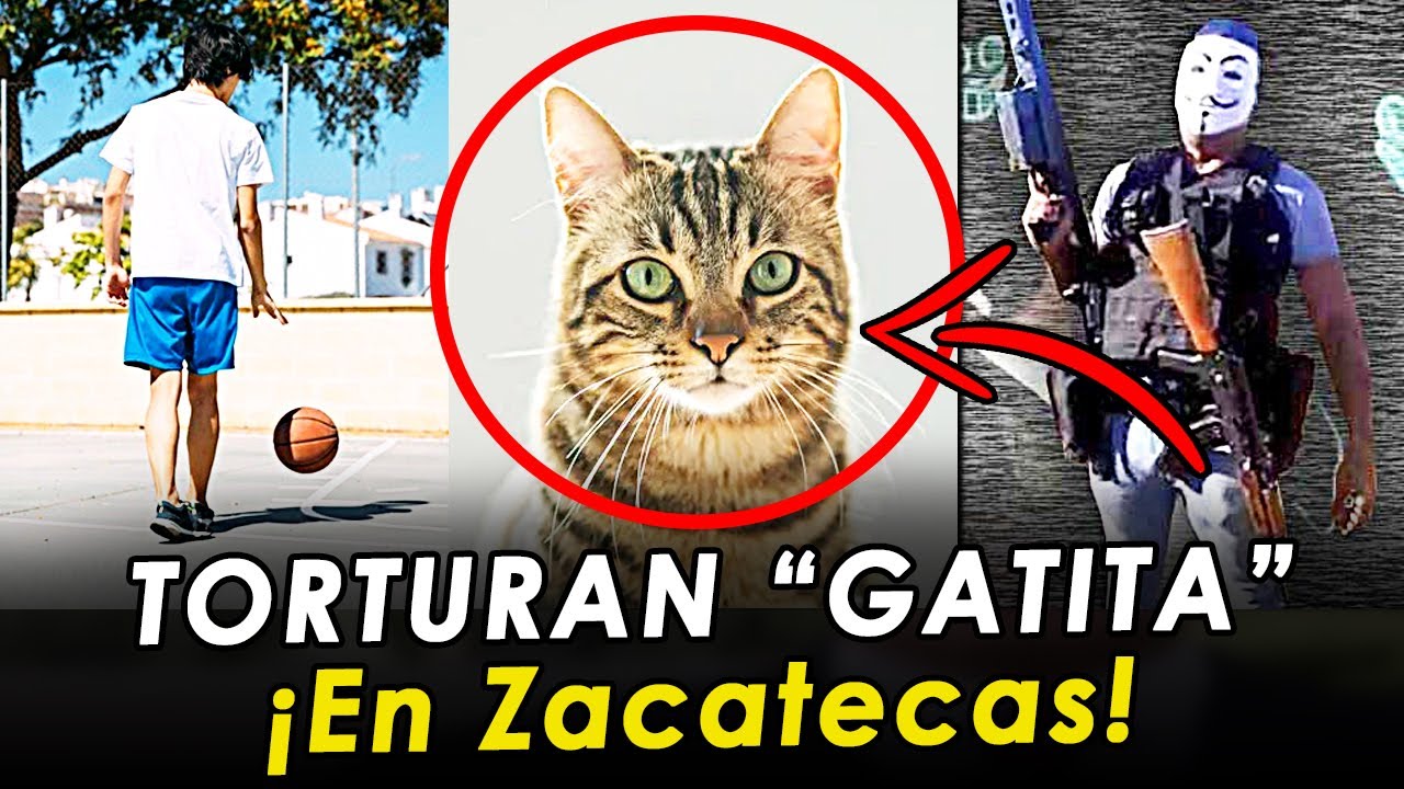 "Firma el firulais". Menores juegan a ser narcos: Torturan y ejecutan a ...