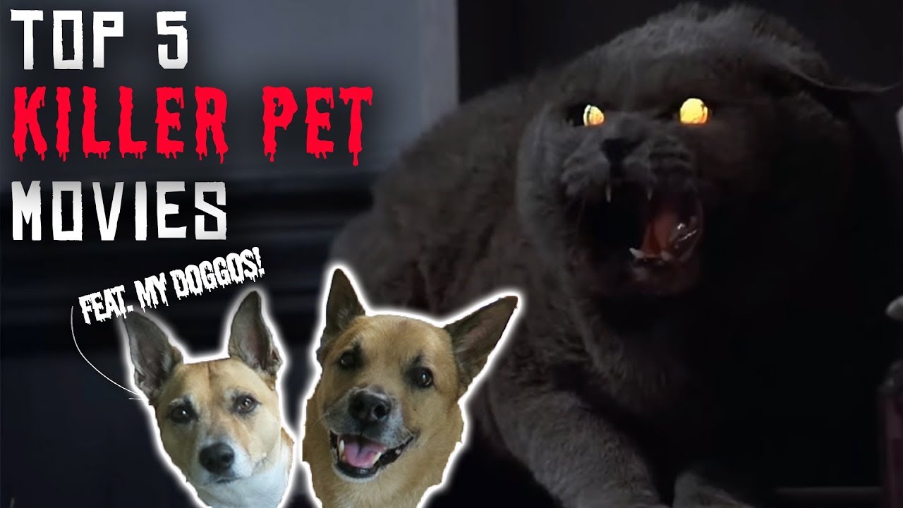 MY TOP 5 KILLER PET HORROR MOVIES | feat. My Doggies! - YouTube