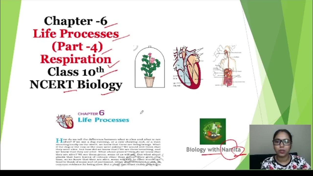 Life Processes class 10 science Biology| chapter -6 (Part-4 ...