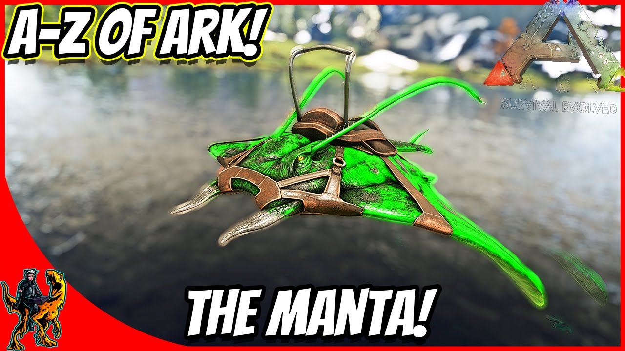 A-Z Of Ark! The MANTA SPEEDSTER OF THE SEA!! || Ark Survival Evolved ...