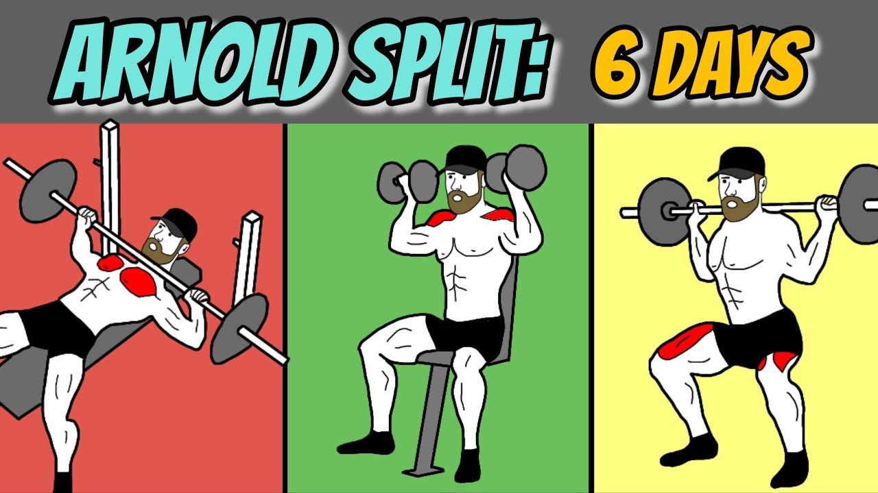 Arnold Split: 6 Days Gym Routine (Free Training Plan + Full Explanation) - YouTube