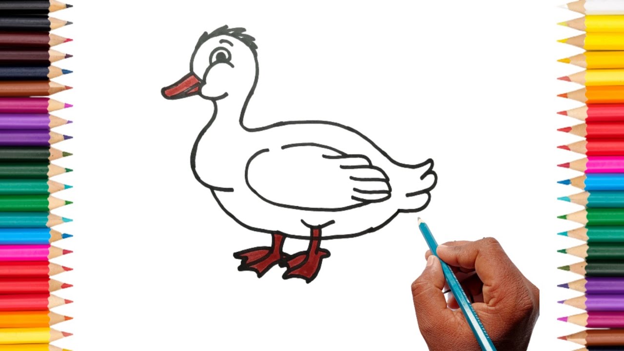 How to draw duck for kids very easy || @Cutedrawings01 - YouTube
