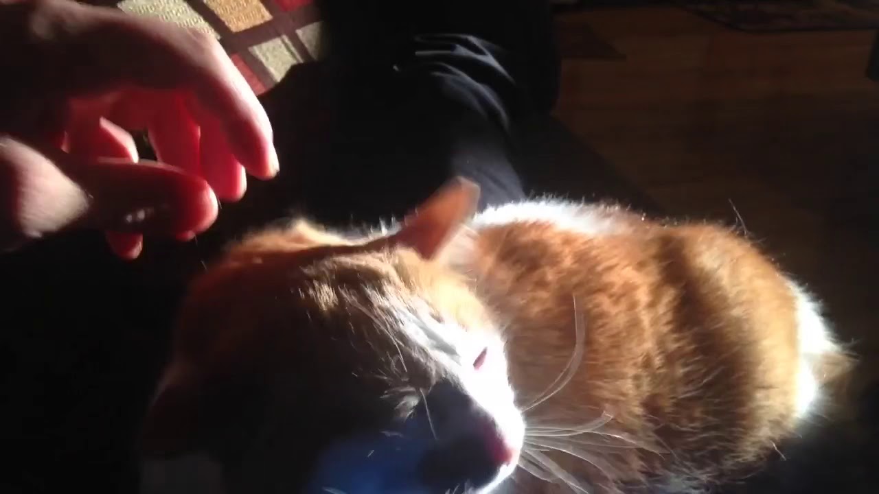 Anna Banana 🍌 - YouTube