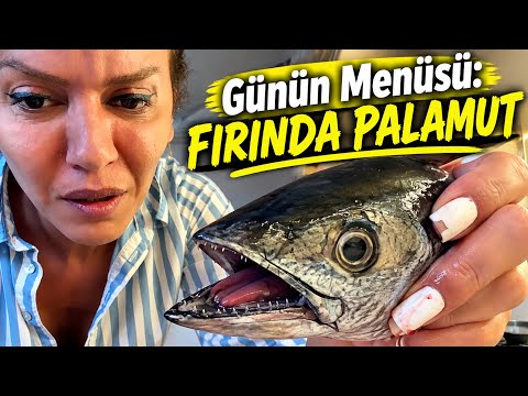 Palamut Yapıyoruz