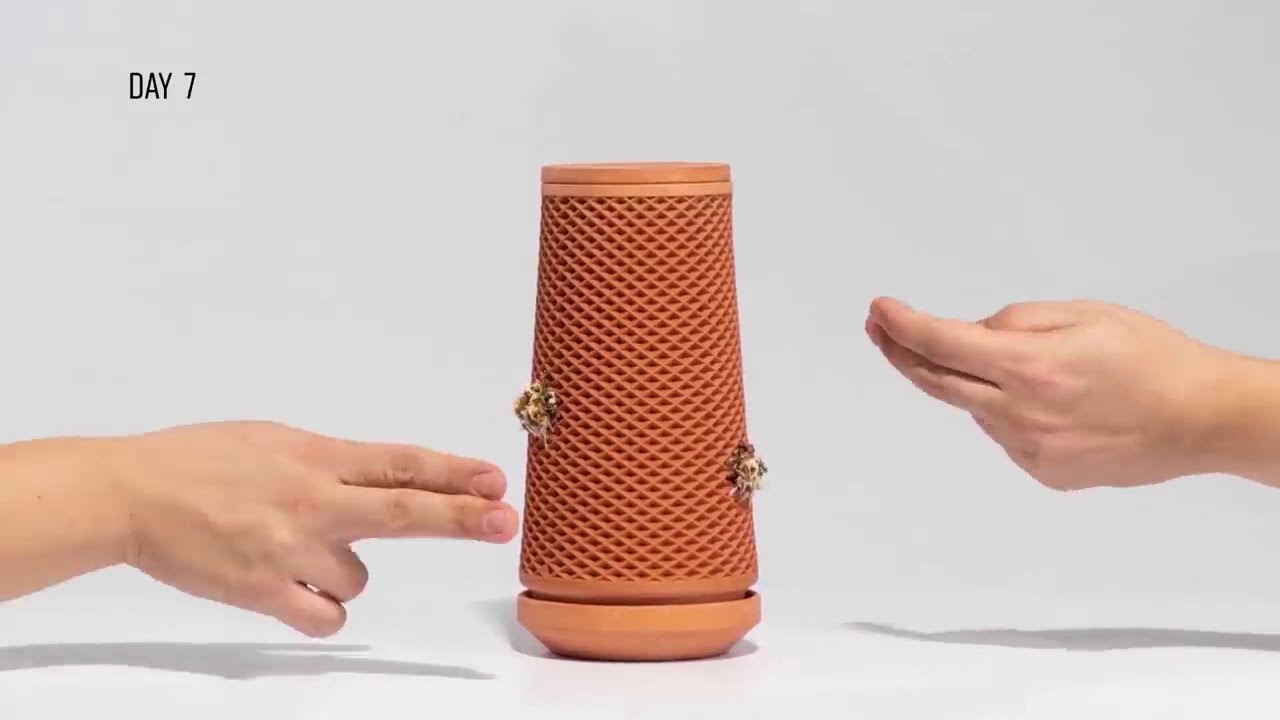 Hydroponic Terrapot- The Inside out planter| Terracotta, Decorative ...