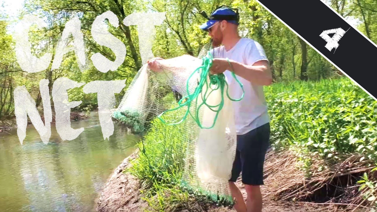 CAST NETTING CARP GALORE - One of a Kind Adventure Controlling Rough ...