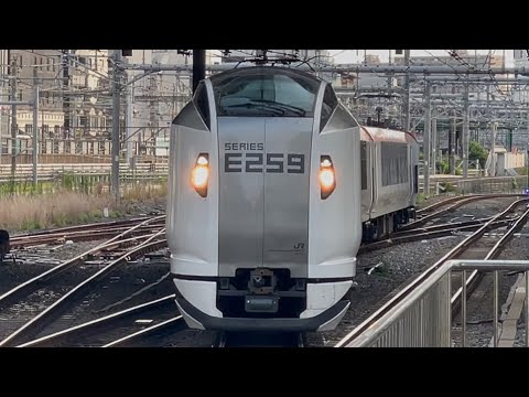 E259系ｸﾗNe003編成が回送電車として池袋駅2番線に到着停車するシーン（2025.7.23.6:19） - YouTube