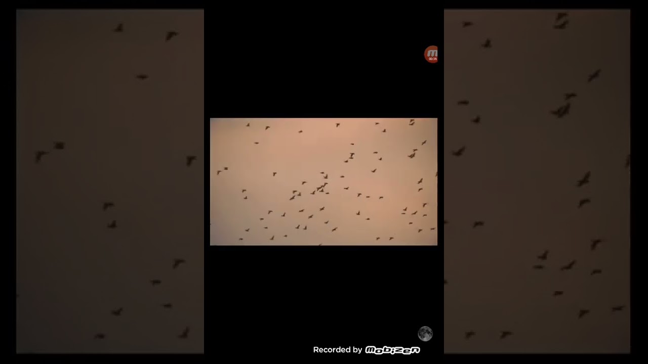 End of time creatures 👽👻 - YouTube