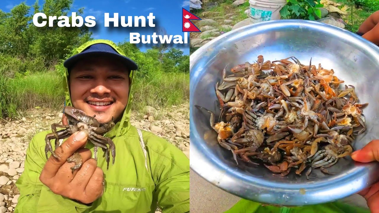 Crabs Hunt In Butwal, Nepal: Nepali Sea Food Rey K - YouTube