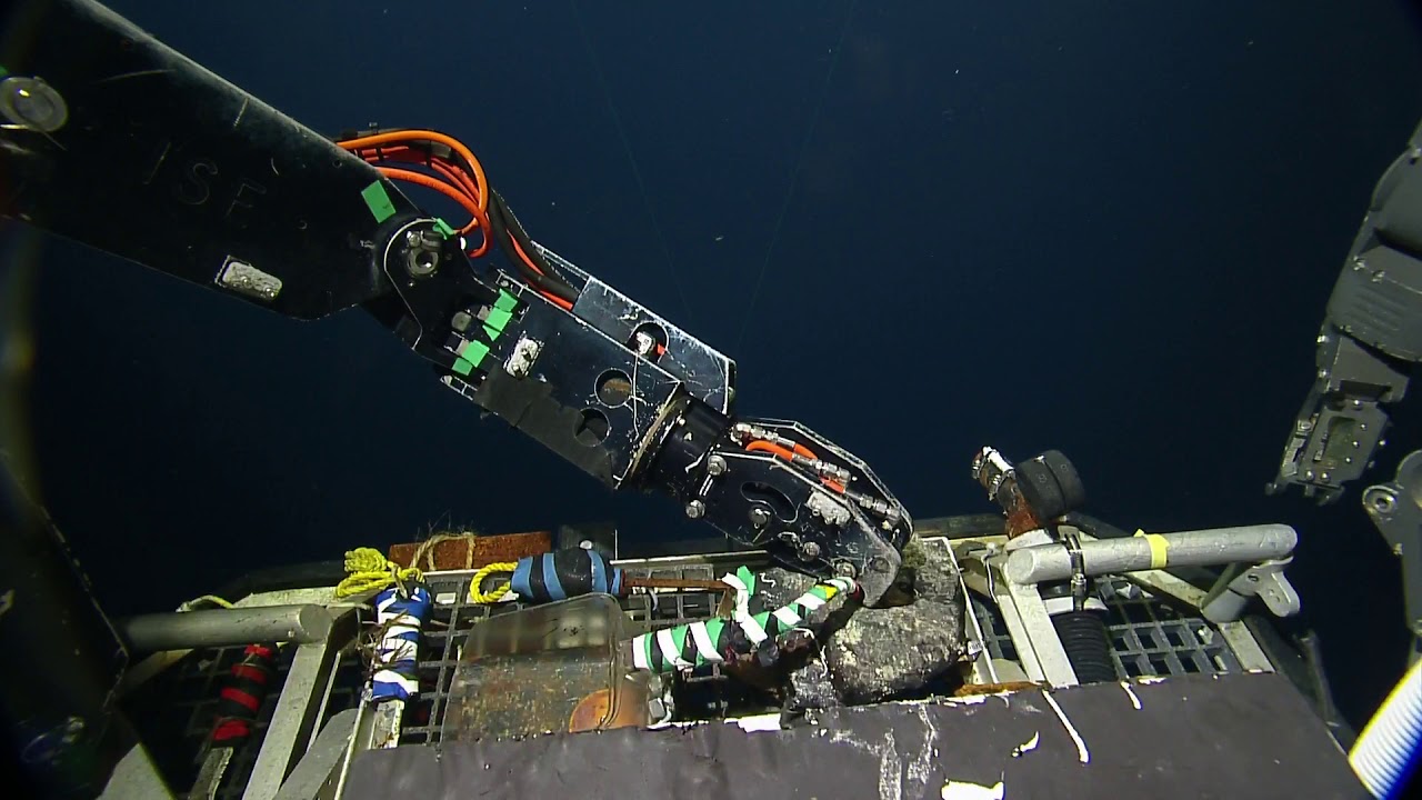 ROV Hercules Dive NA114-H1786-20190905T0432UTC-108 - YouTube