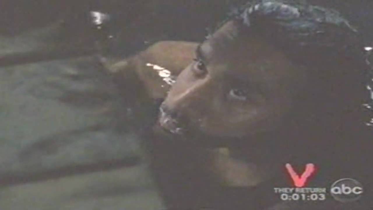 LOST Sayid Desmond End Scene The Package - YouTube