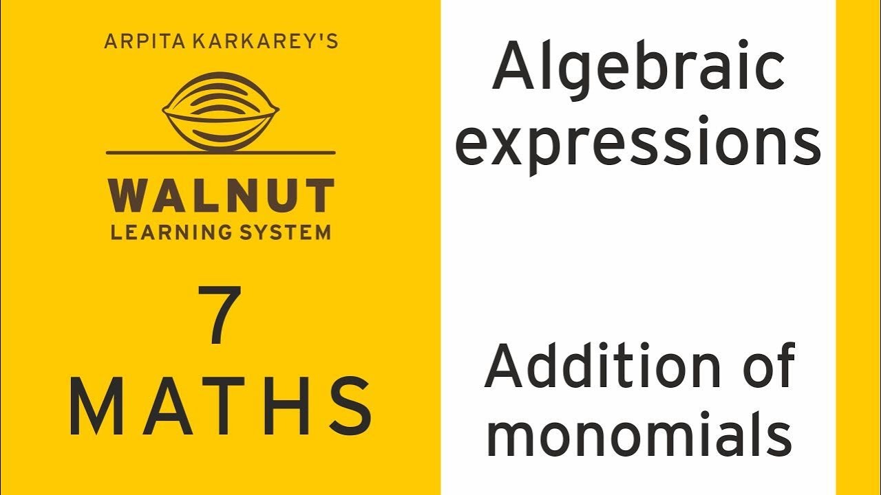 7 Math - Algebraic expressions - Addition of monomials - YouTube
