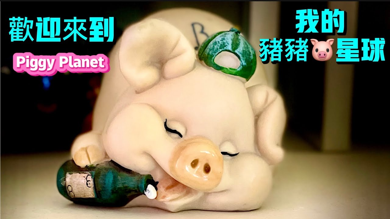 🏠歡迎來到我收藏23多年的＂豬豬🐷星球＂你們覺得哪一隻最可愛？請在留言區告訴我！Welcome to my piggy planet!《🐷🐔 ...