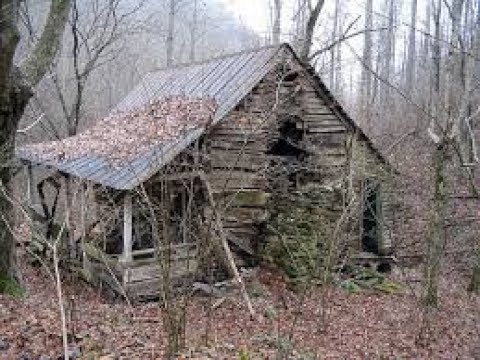 Old abandoned cabin in the woods, exploring - YouTube