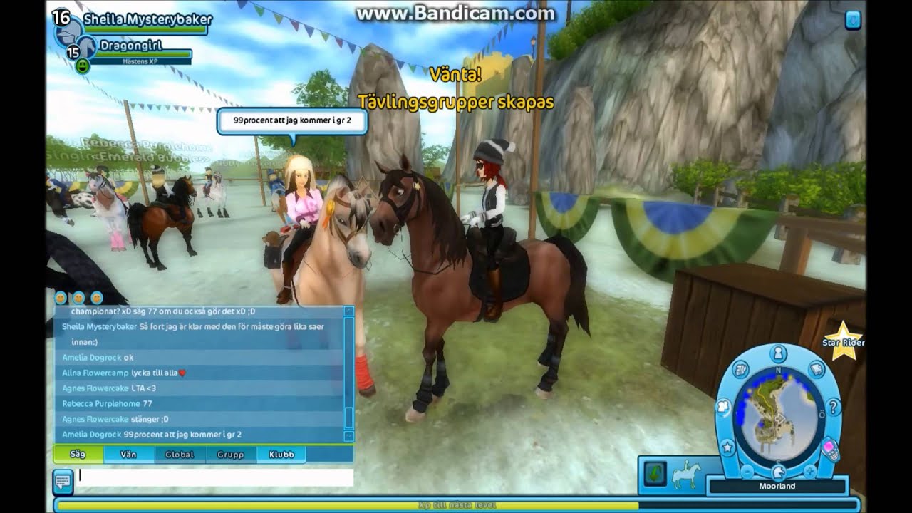 Fort Pinta Championt Star stable - YouTube